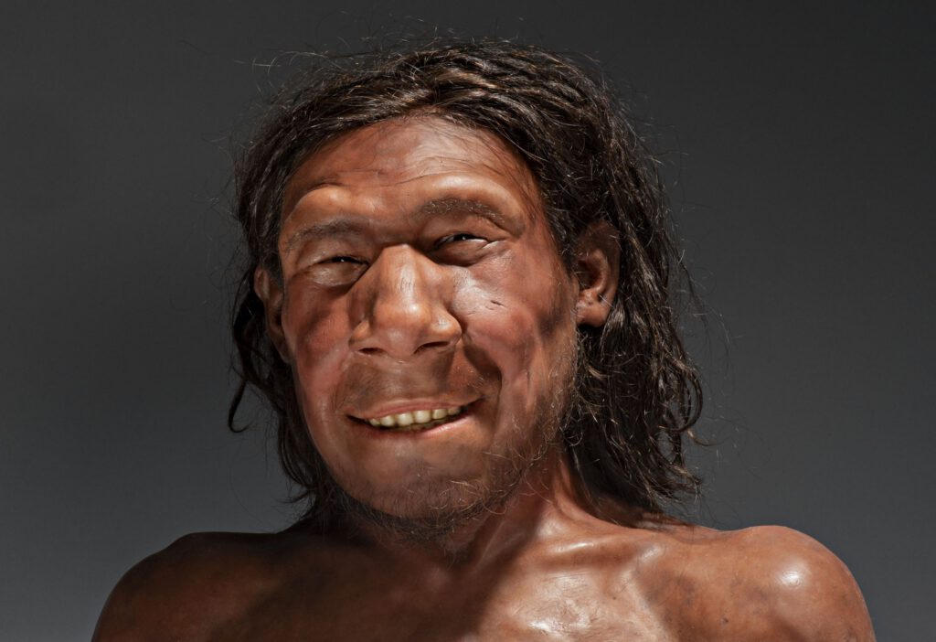 Eerste Nederlandse Neanderthaler krijgt een gezicht - Erfgoed Magazine